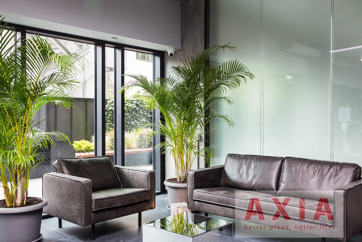 Mendeleev Office 5 — AXIA